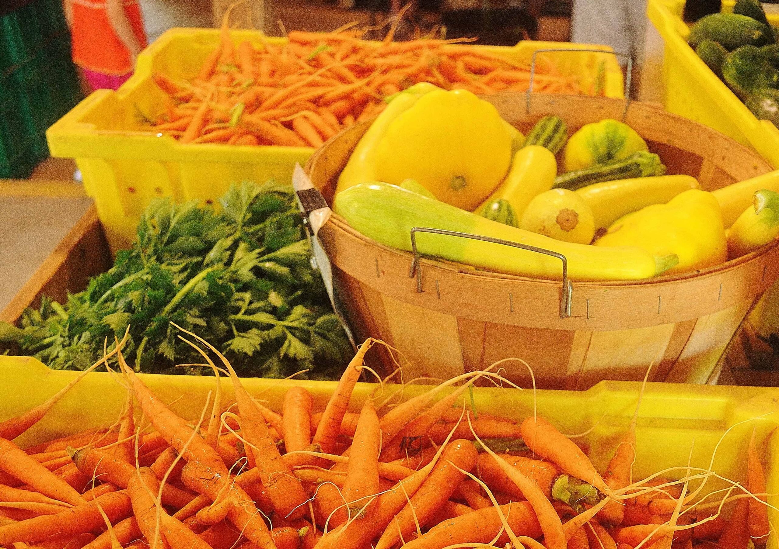 Fernbrook Brook Farms CSA- Jersey Fresh Produce - Jersey Girl Cooks