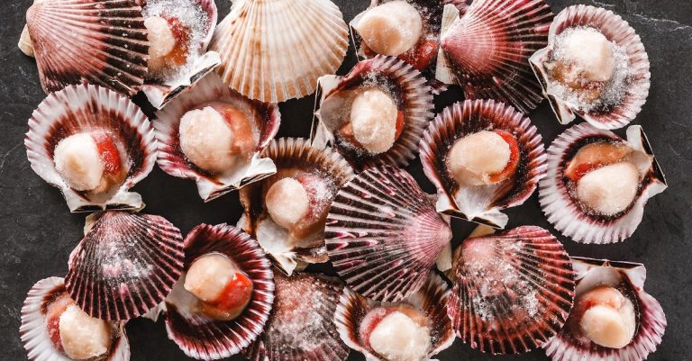 What Does a Scallop Taste Like? - Jersey Girl Cooks
