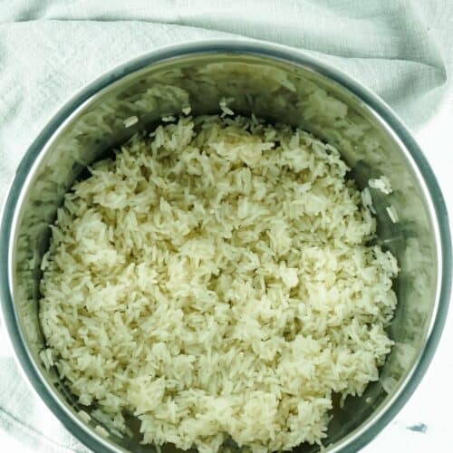 Can you Freeze Cooked Rice? Yes! All you need to know!