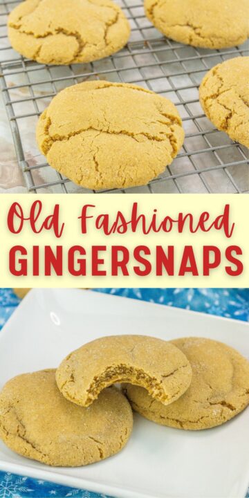 Old Fashioned Ginger Snap Cookies - Jersey Girl Cooks