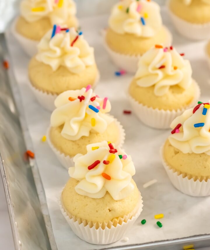 Mini Vanilla Cupcakes - Jersey Girl Cooks
