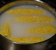 Boiled Corn on the Cob with Milk - Jersey Girl Cooks