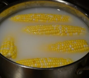 Boiled Corn on the Cob with Milk - Jersey Girl Cooks