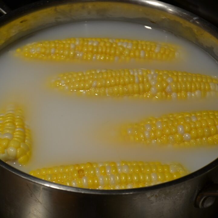 Boiled Corn on the Cob with Milk - Jersey Girl Cooks