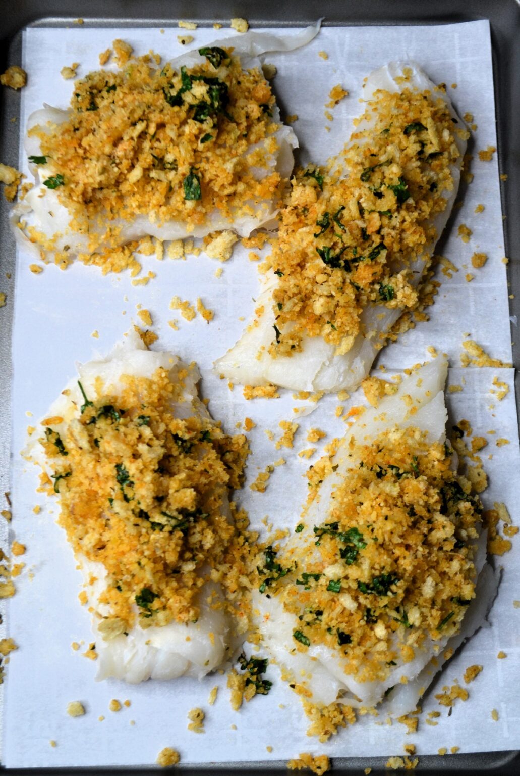 Crispy Parmesan Baked Cod - Jersey Girl Cooks